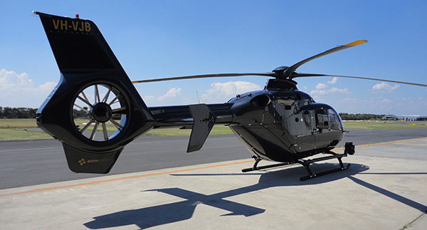 System Overview | Microflite